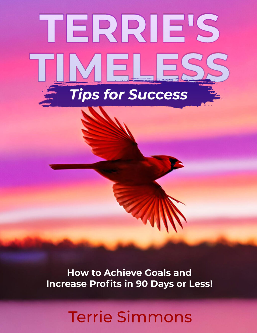 Terrie's Timeless Tips for Success (available in English and Spanish ...